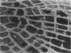 Glossary of Permafrost and Related Ground-Ice Terms - International ...